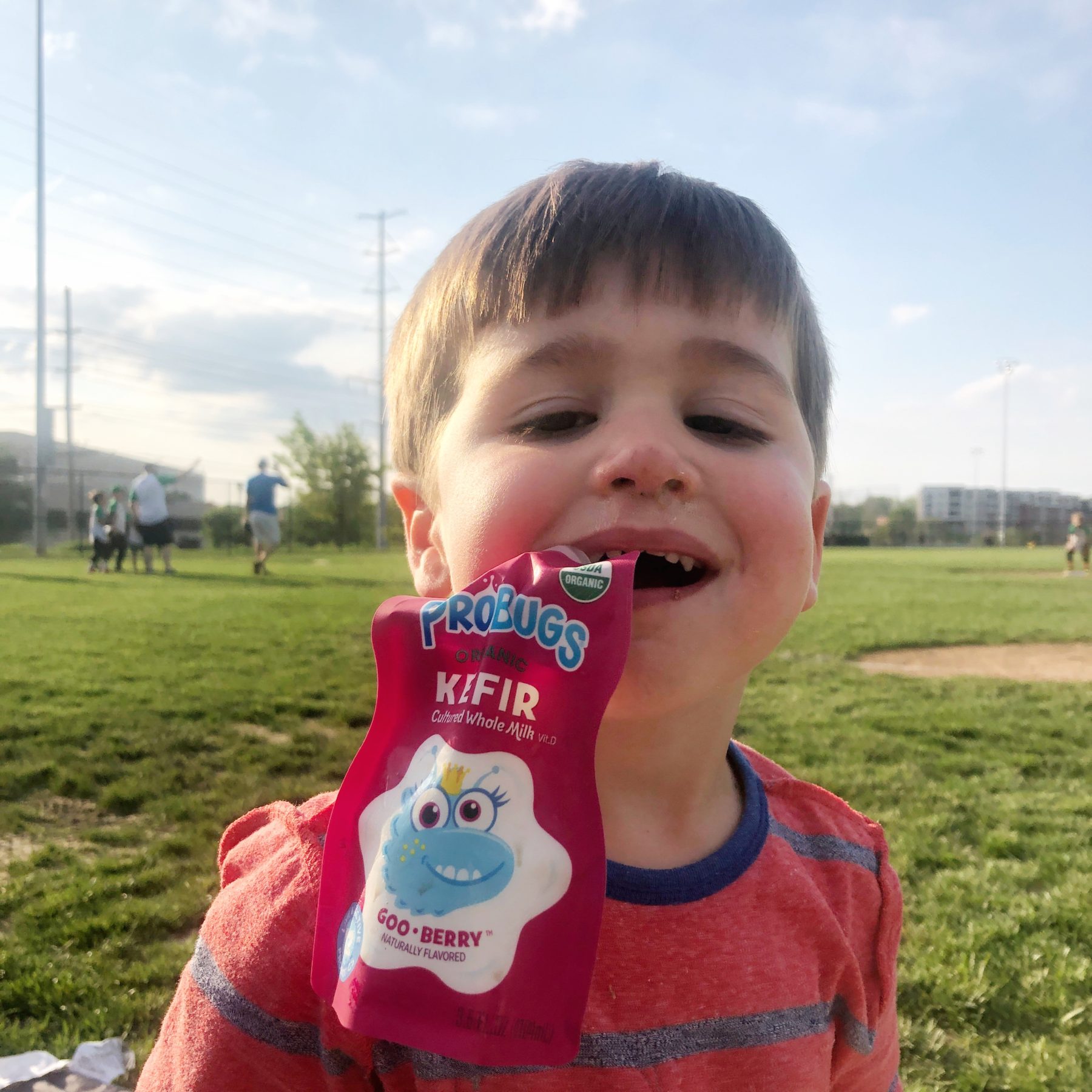 McDaniel's Bite-Sized Reviews | Lifeway Probugs Organic Kefir